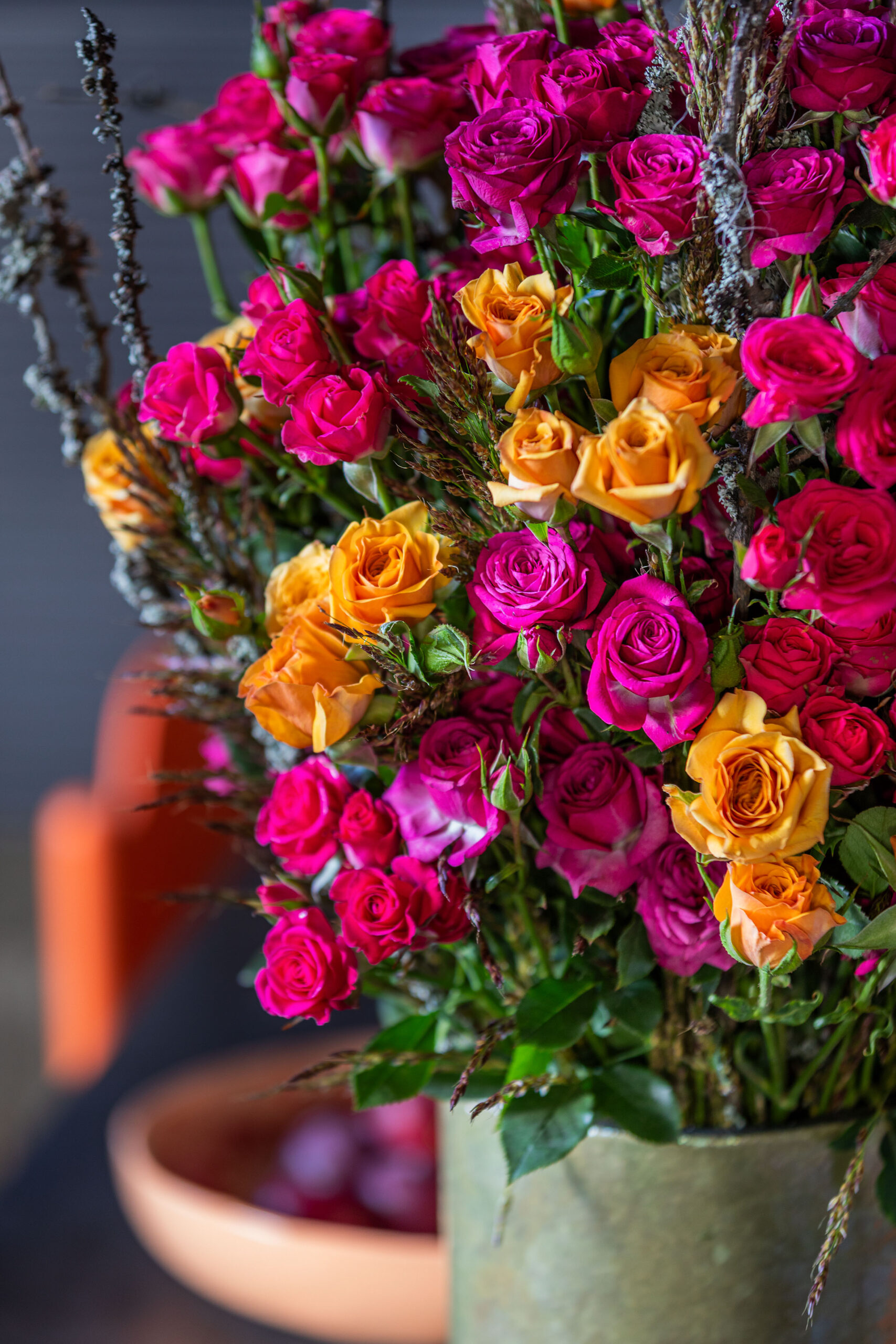 Raspberry Blush – World Of Spray Roses